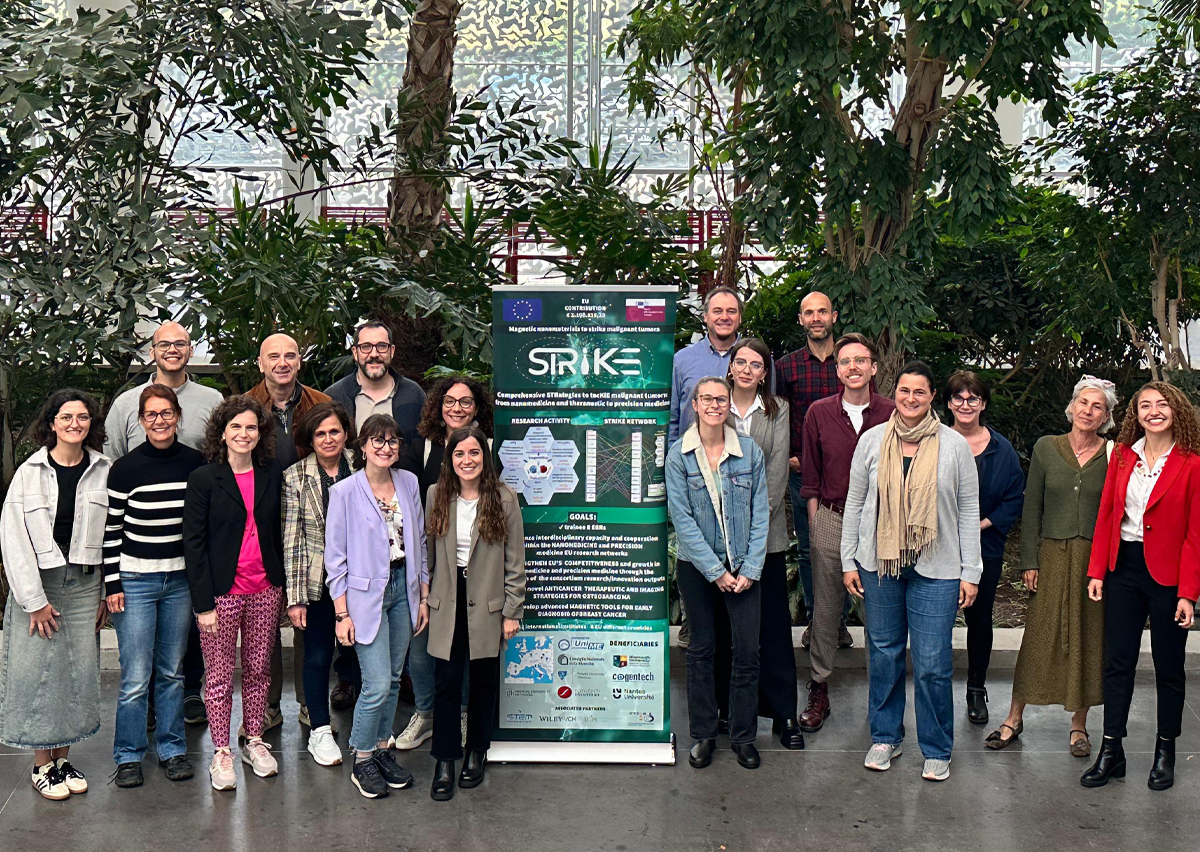 2nd STRIKE Scientific and Progress Meeting was a success!