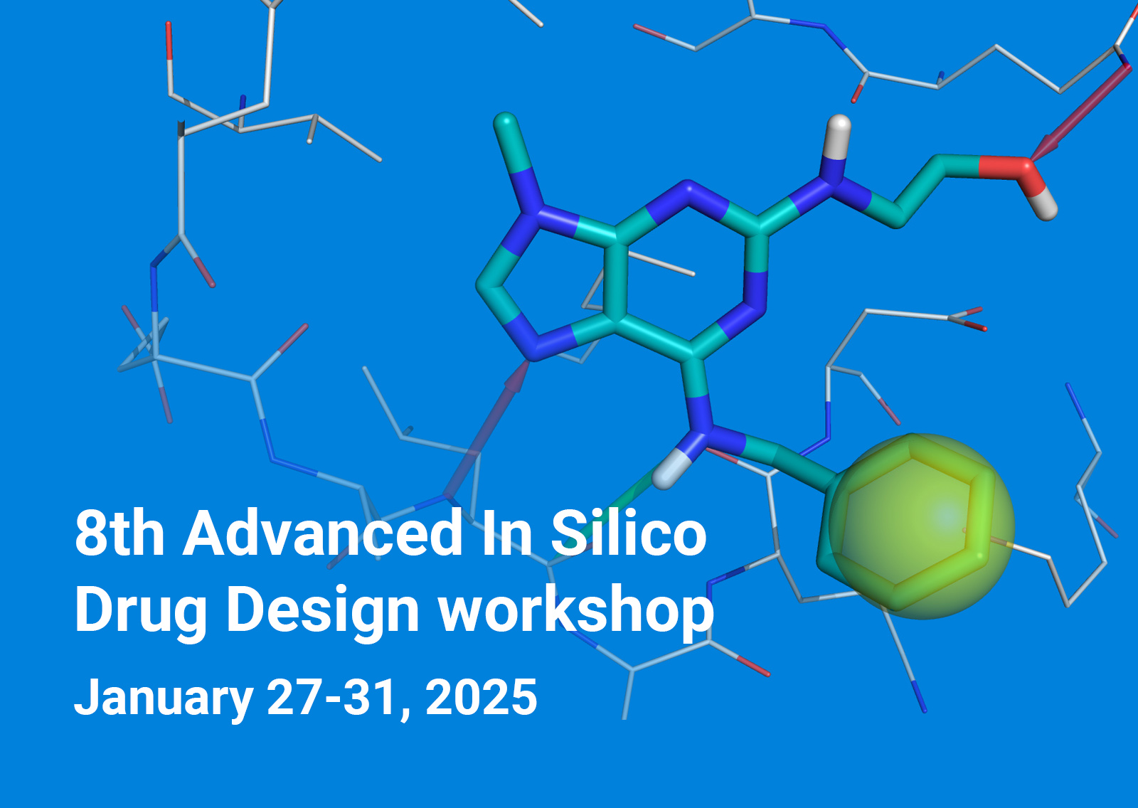 8th Advanced In Silico Drug Design workshop